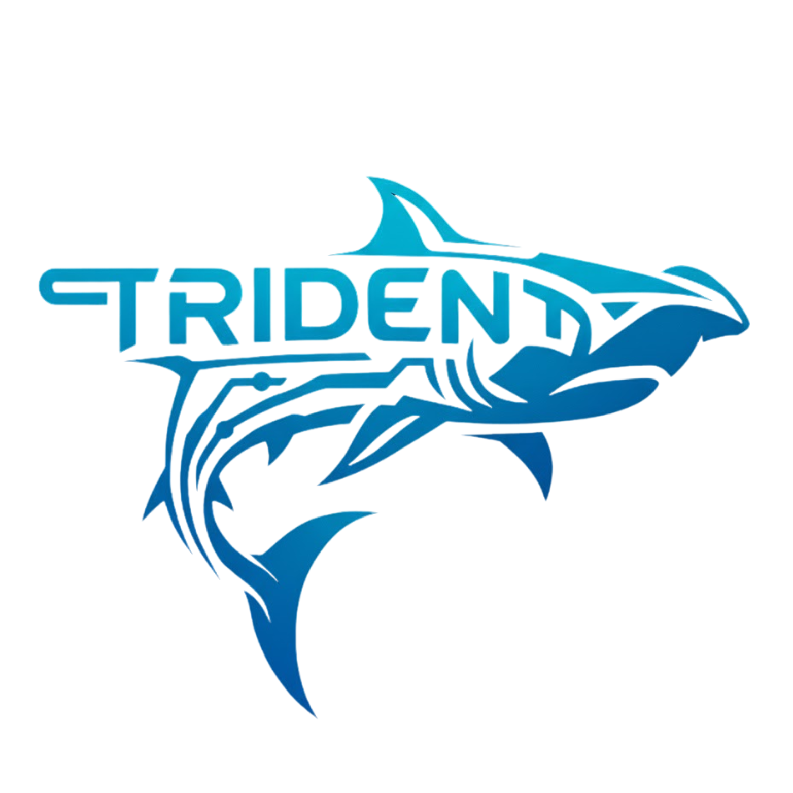 TRIDENT Community | Build · Break · Innovate